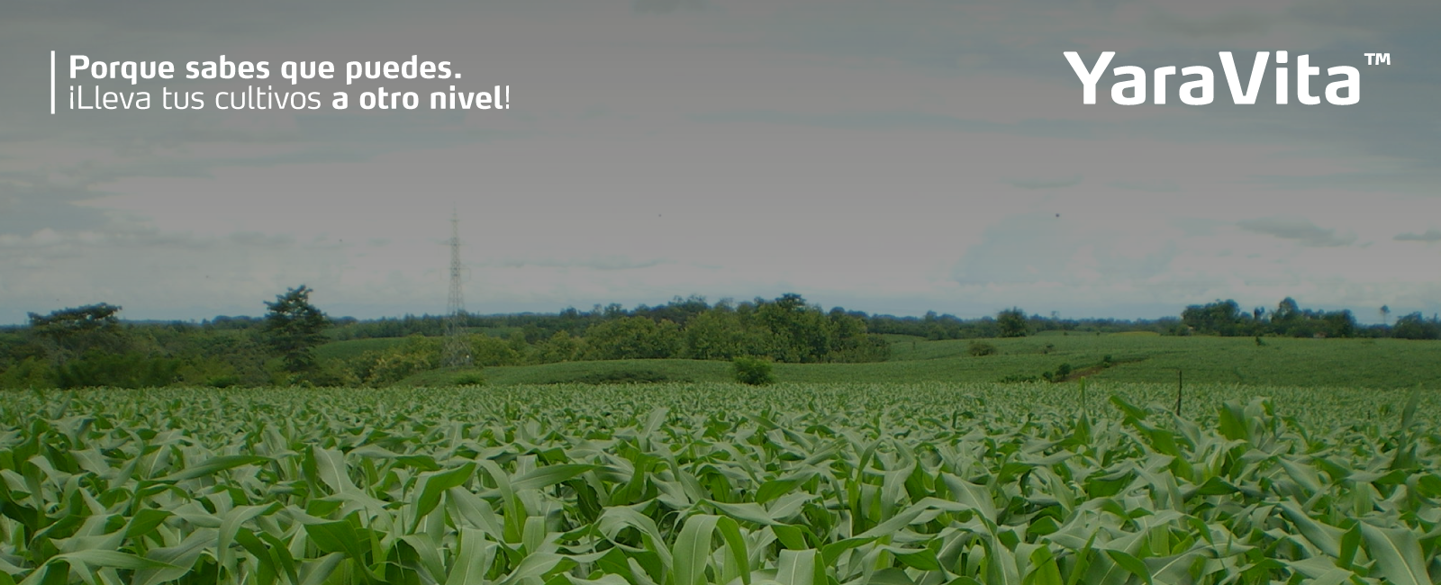 YaraVita Landing | Yara Colombia