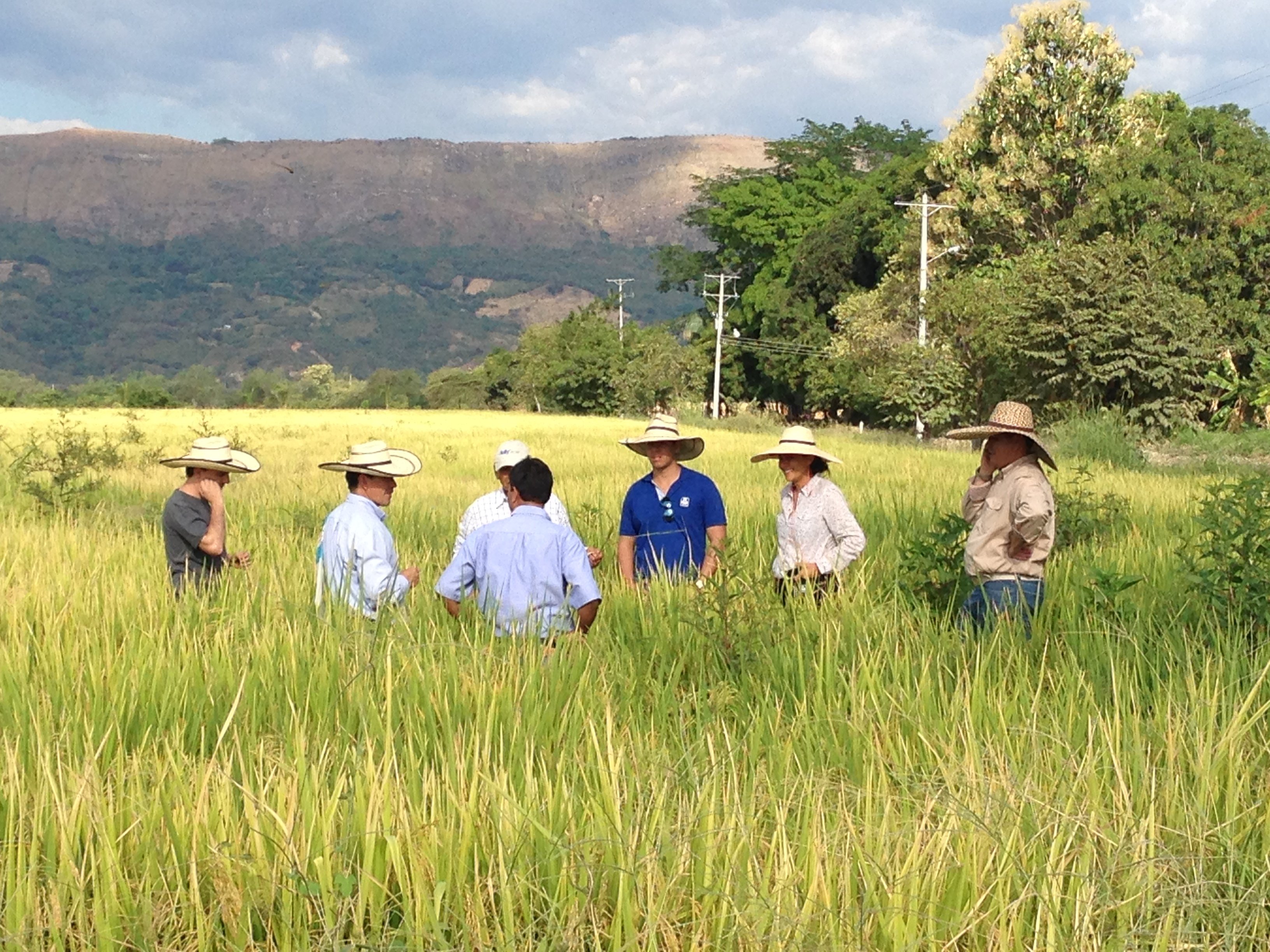 BBVA y Yara crean alianza financiera para que agricultores accedan a ...